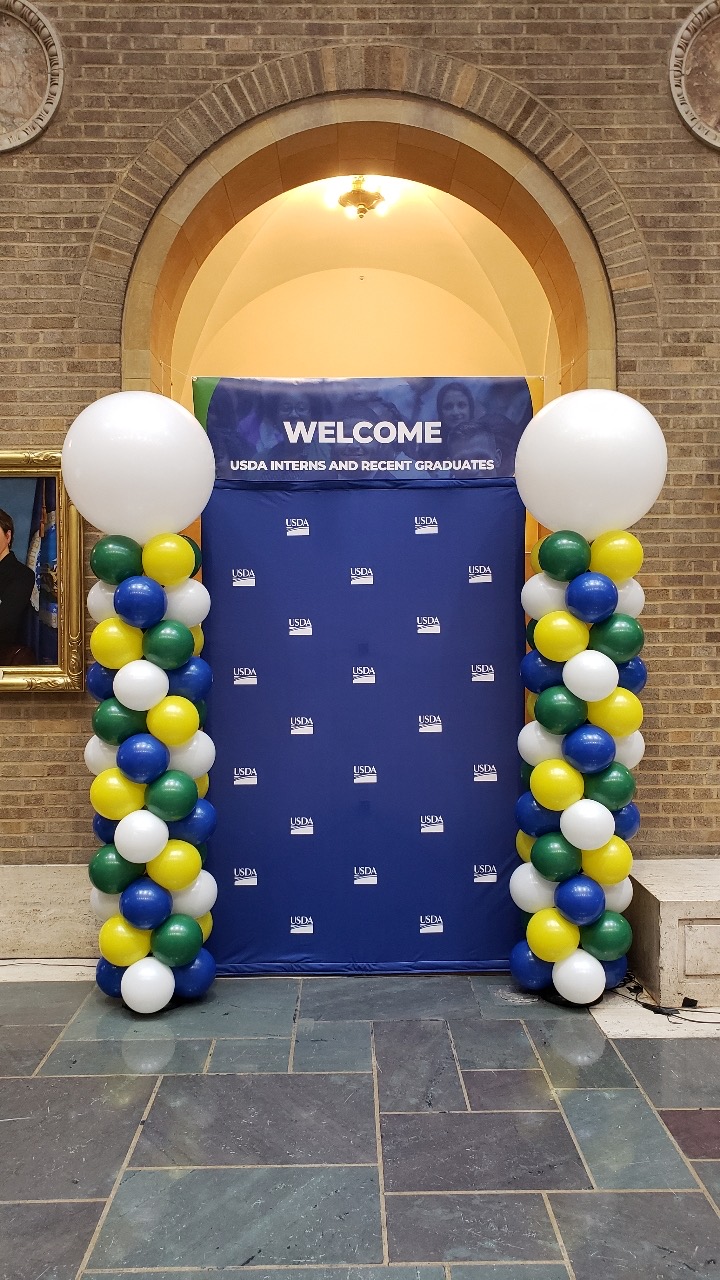 Balloon Decorations for Corporate Events | Partistry Events